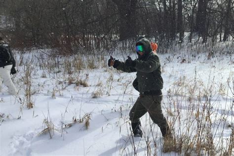 Tree Anatomy Leaves Crow S Path