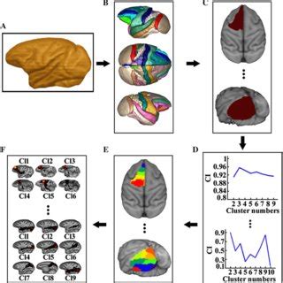 Overall Approach Of The Study To Construct The Macaque Cortex Atlas A Download Scientific