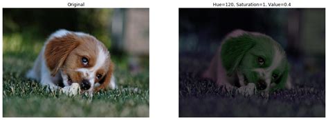 hsv example — nvidia dali
