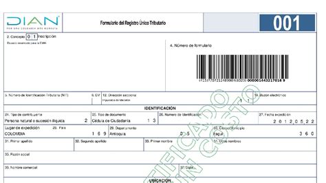 Conoce Los Pasos Para Actualizar El Rut Este 2021