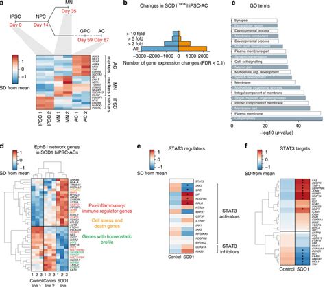 Transcriptome Wide Analysis In Enriched Human Sod1d90a Als Download Scientific Diagram
