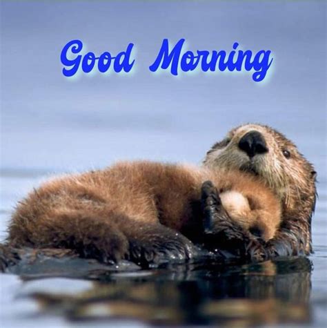 Pin On Good Morning