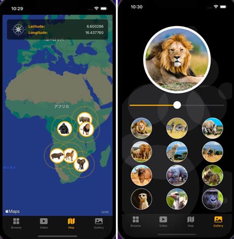 Swiftui Animal Dictionary App Africa Ver