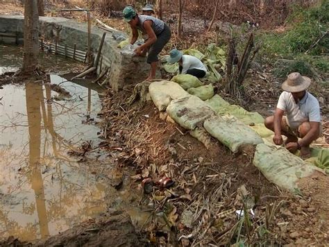 မိုးနဲမြို့ ကွန်နားကျေးရွာ၌ စိမ့်စမ်းရေသွယ်ယူခြင်းနှင့် ရေစုကန်တည်ဆောက် Information And Public