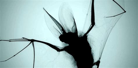 Startling Images Show Strange And Beautiful Science Up Close