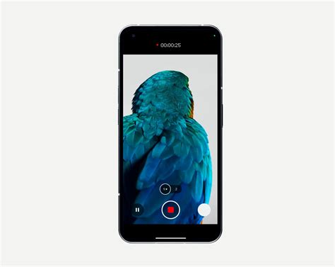 ≡ Смартфон Nothing Phone (1) 8/256Gb (Black) - купить в Днепре ...