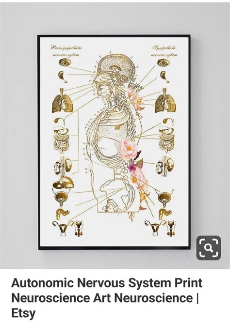 Reflexology Chart Foot Reflexology Massage Therapist Office Etsy Artofit