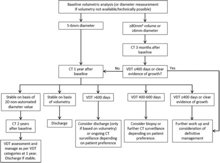 How Are Lung Nodules Assessed And Managed Lung Nodule