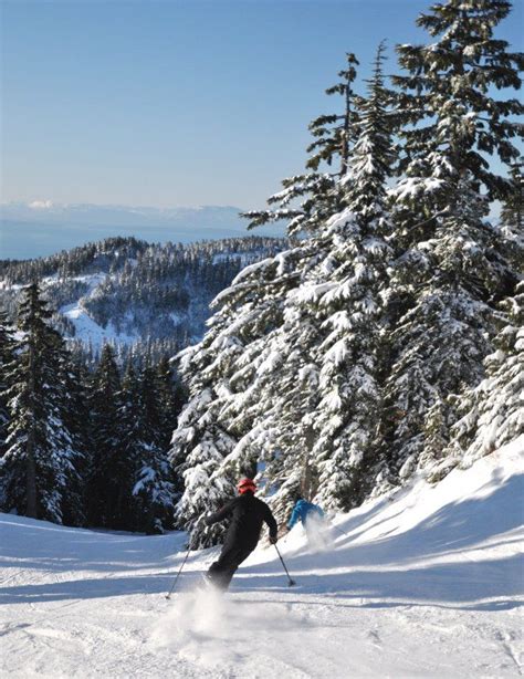 This Is How Youre Going To Want To Spend Spring In Vancouver Lifestyle