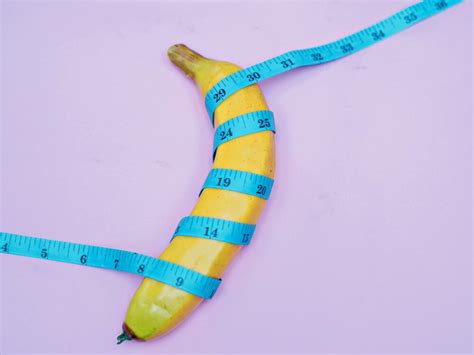 Penis Size Comparison Visualizer The Big Dick Guide