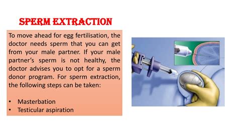 Ppt Ivf And Ivf Process Powerpoint Presentation Free Download Id