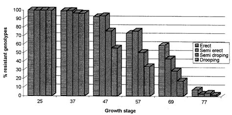 Pattern Of Resistance To Spot Blotch In Wheat Germplasm Varying For Download Scientific Diagram