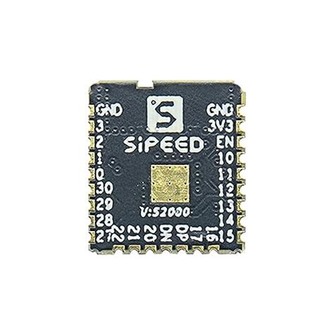 Unleashing Innovation With The RISC V AIoT TinyML Module Electronikz