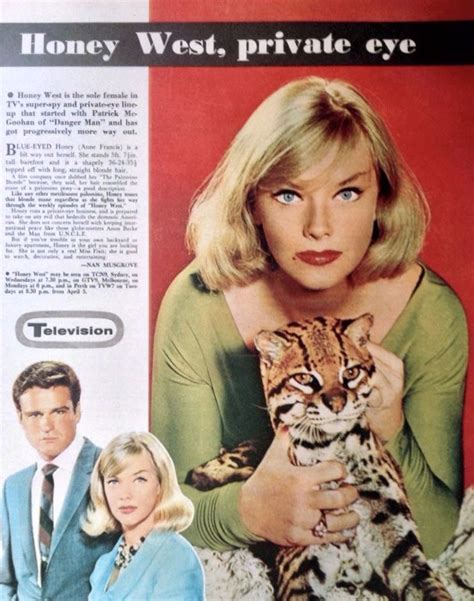 Ann Francis Honey West 1965 Anne Francis Classic Tv Old Tv Shows