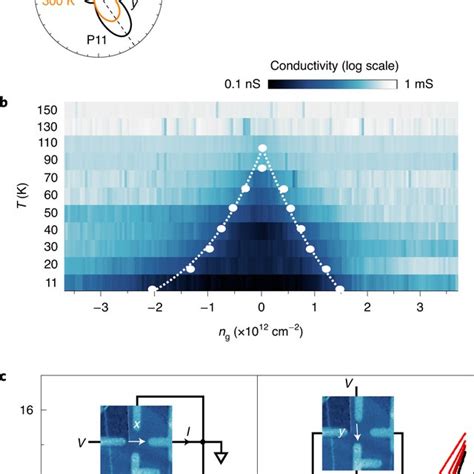 Bulk Conduction Measurements On Monolayer Wte2 A 1t′ Structure Of