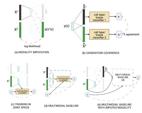 Sketch Of Our Evaluation Schemes For A Modality Imputation B