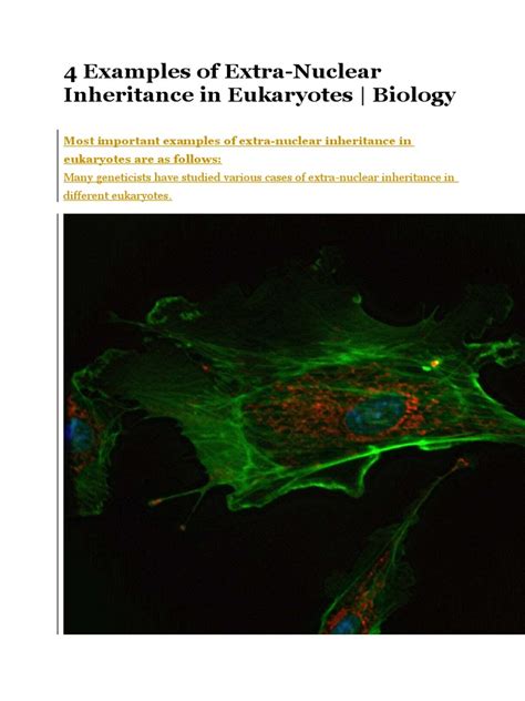 Extranuclear Inheritance Examples Pdf Chloroplast Gene