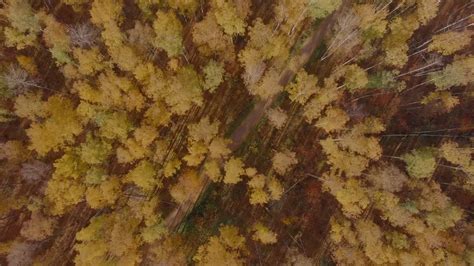 Lotta Andersson On Linkedin Agreatplacetowork Togetherwerise