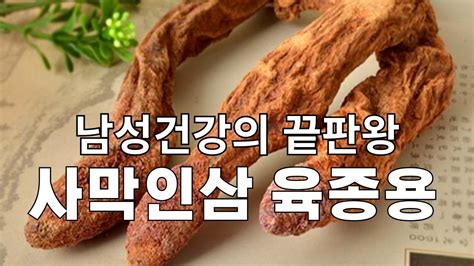 남성 건강을 위한 사막인삼의 힘 효과적인 육종과 활용 방법 사막인삼 육종용 식물육종 극한환경 Youtube