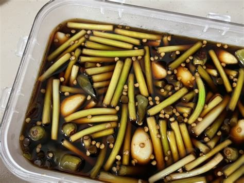 마늘쫑 장아찌 끓이지 않고 담그는 방법 무르지 않는 장아찌 만들기