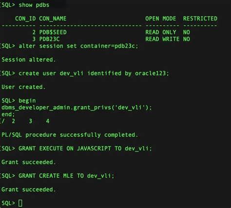 23c新特性在数据库内部创建、存储和执行javascript 墨天轮