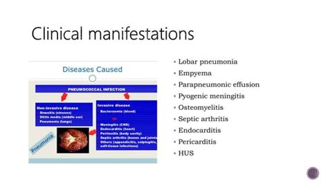 Pneumococcus Pptx Pneumococcus Pptx