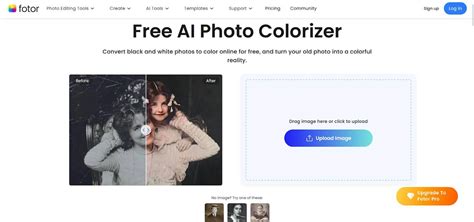 Best Alternative To Fotor For Colorizing Images
