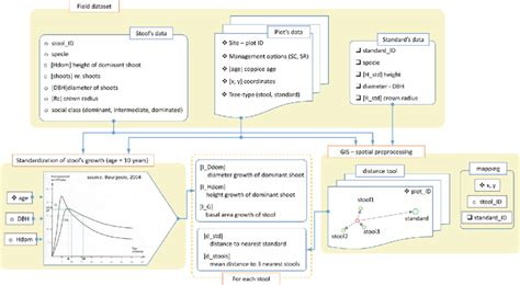 Workflow From The Field Data Collection To The Data Preprocessing Download Scientific Diagram
