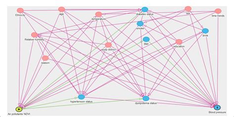 Figure E Directed Acyclic Graph Dag Showing The Relationship Between