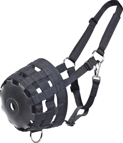 Busse Fressbremse Classic Schwarz Equusvitalis Onlineshop