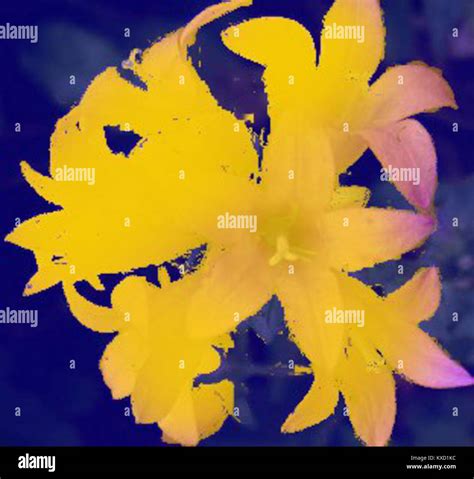 This Title Appears To Be A Code Or Reference Related To An Html File Or Document It Lacks