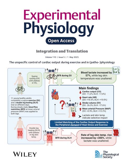 Biological Sex Does Not Impact Intrinsic Mitochondrial Respiration