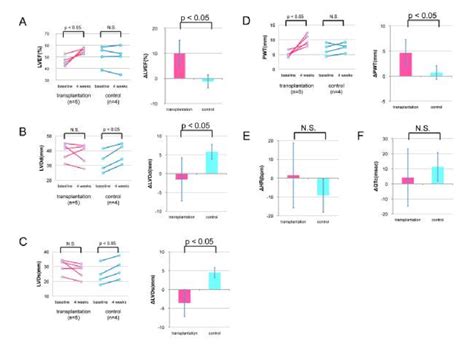 Global Functional Effects Of An Infarcted Myocardium After Download Scientific Diagram