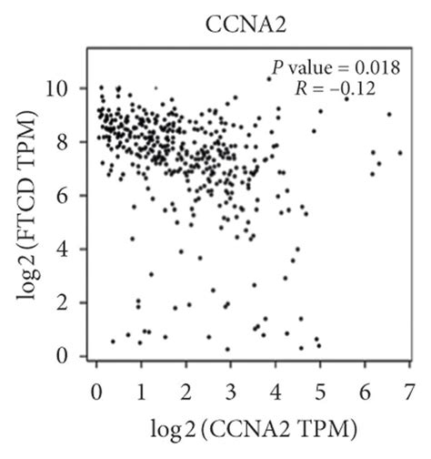 Top Five Hub Genes Expression Level In Liver Hepatocellular Carcinoma