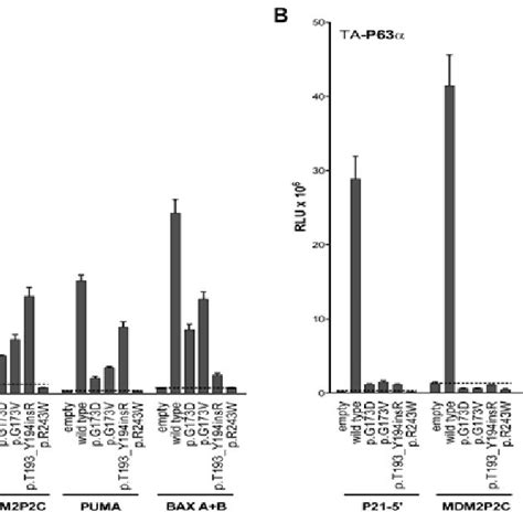 Figure S3 P63 Mutations Associated To Ectodermal Dysplasia Syndromes Download Scientific