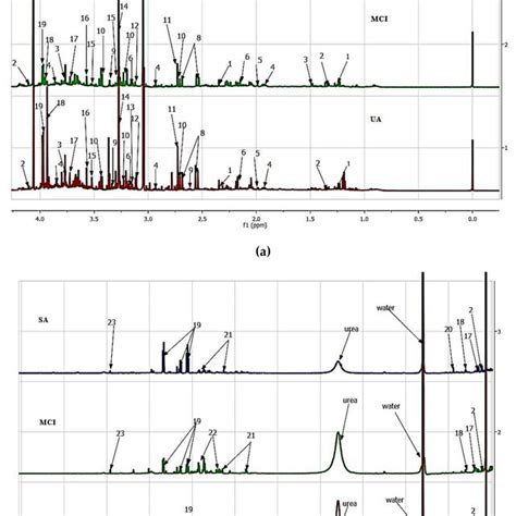 ¹h Nmr Spectra 600 Mhz Of Urine In Pbs For Successful Aging Sa Download Scientific Diagram