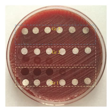 The Bactericidal Effect Under The Same Irradiation Time 20 Min And Download Scientific