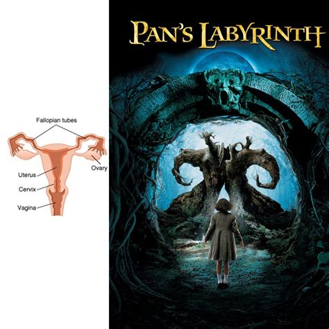 Pans Labyrinth 2006 Tree Bears Resembles To The Female Reproductive