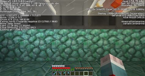 Minecraft Why Can I See 2 Different Coordinates Arqade