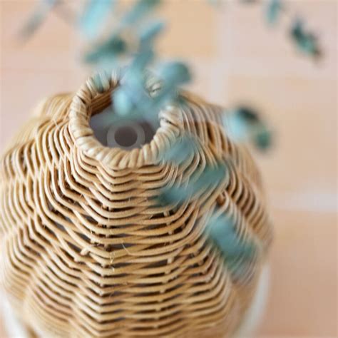 Refreshing Eucalyptus Diffuser Blends