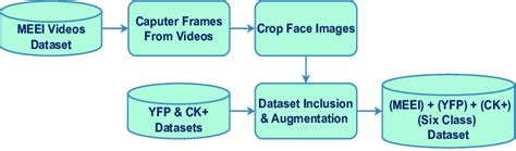 Dataset Preparation Steps Download Scientific Diagram