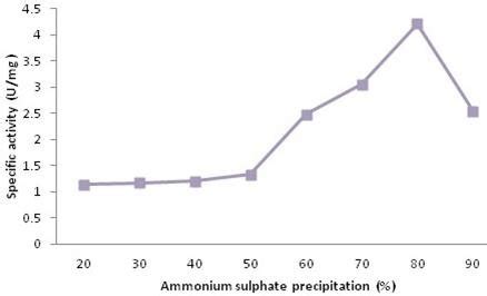 Precipitation Of Enzyme By Ammonium Sulfate Precipitation Method The Download Scientific