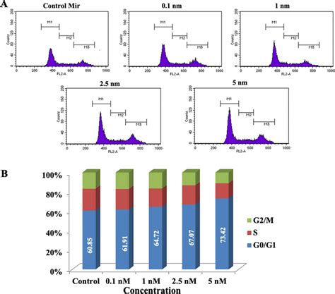 The Cell Cycle Distribution Analysis Using Flow Cytometry In Mcf 7