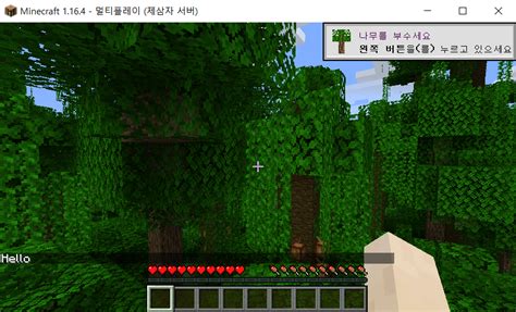 5 서버 연결 확인 파이썬으로 마인크래프트 헤엄치기 파이썬으로 마인크래프트하자