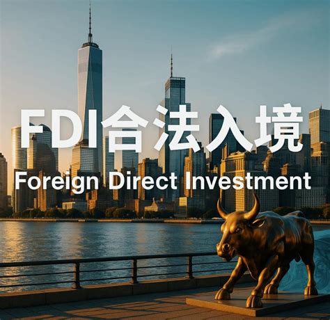 Fdi合法入境指南 外国投资者如何合规打开中国市场？政策 流程 避坑全解读！ 跨境合规圈odi备案fdi备案安永国际 跨境合规圈 Odi