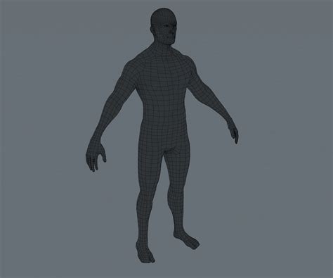 Male Female Body Base Mesh 28 Animations 3d Model 5k Polygons 3d Model