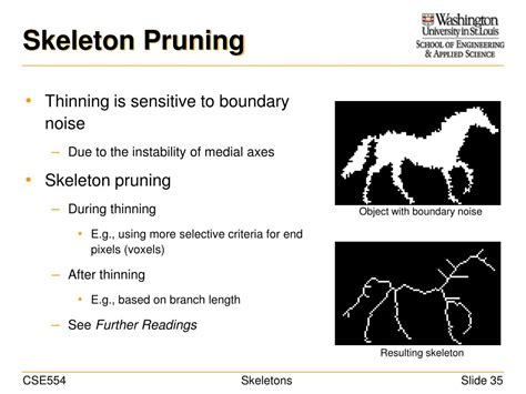 ppt cse 554 lecture 2 skeleton and thinning part i powerpoint