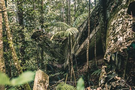 រន្ធត់ចិត្តពេលដឹងពីប្រវត្តិ និងមូលហេតុនៃការធ្លាក់យន្តហោះនៅកំពូលភ្នំឱរ៉ាល់ Knongsrok