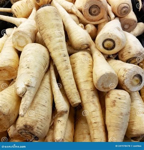 Multiple Farm Fresh Parsnip Root Vegetables Ready For Purchase Stock