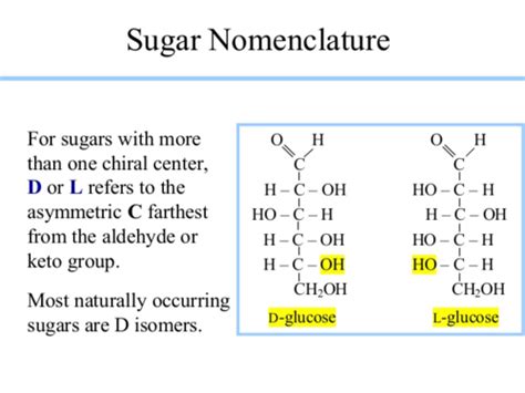 Mcat Biochemistry Chapter 4 Carbohydrate Structure And Function Flashcards Quizlet
